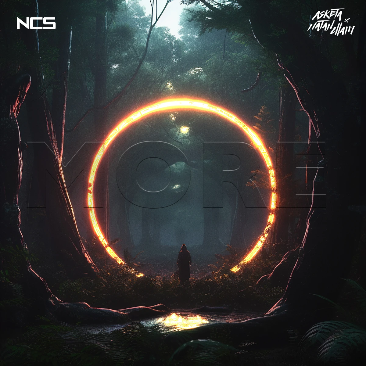 More | NoCopyrightSounds Wiki | Fandom