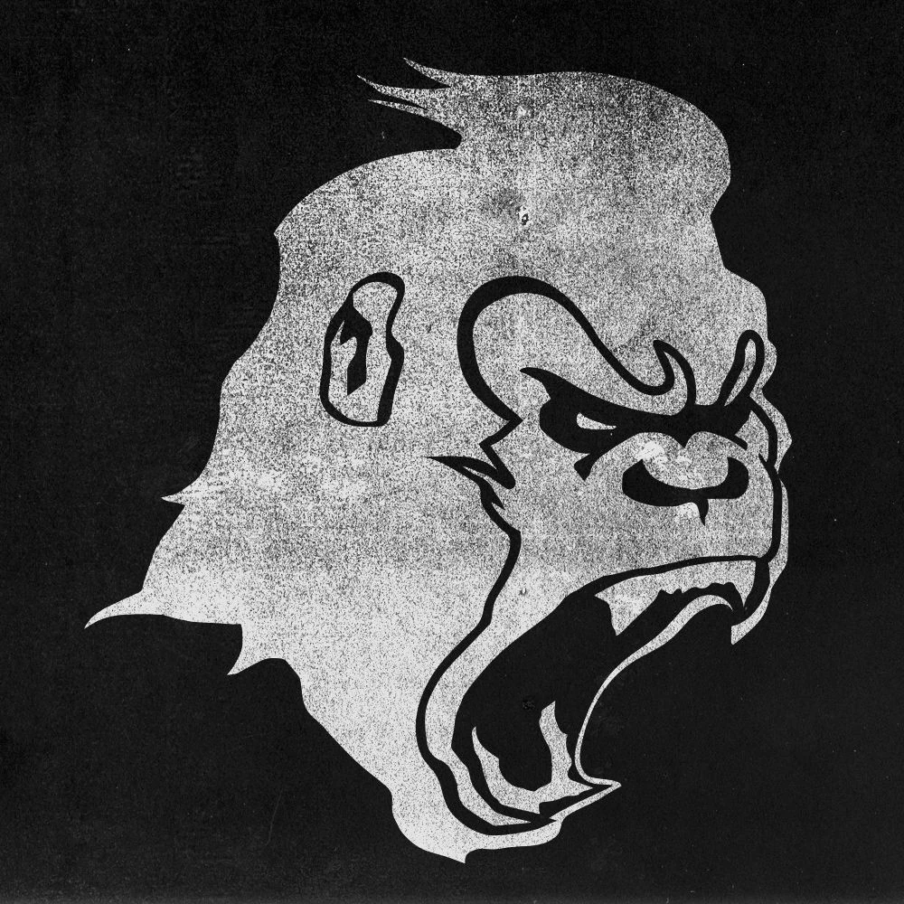 Silverback | NoCopyrightSounds Wiki | Fandom