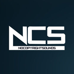 Nocopyrightsounds store