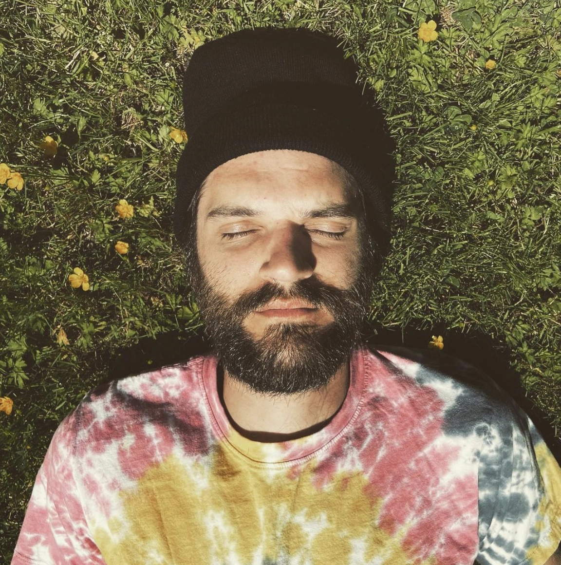 Like Lions | NoCopyrightSounds Wiki | Fandom