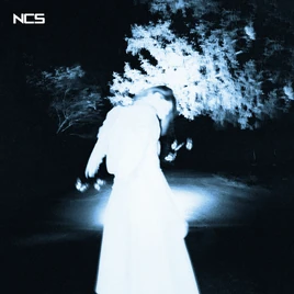 teamo | NoCopyrightSounds Wiki | Fandom