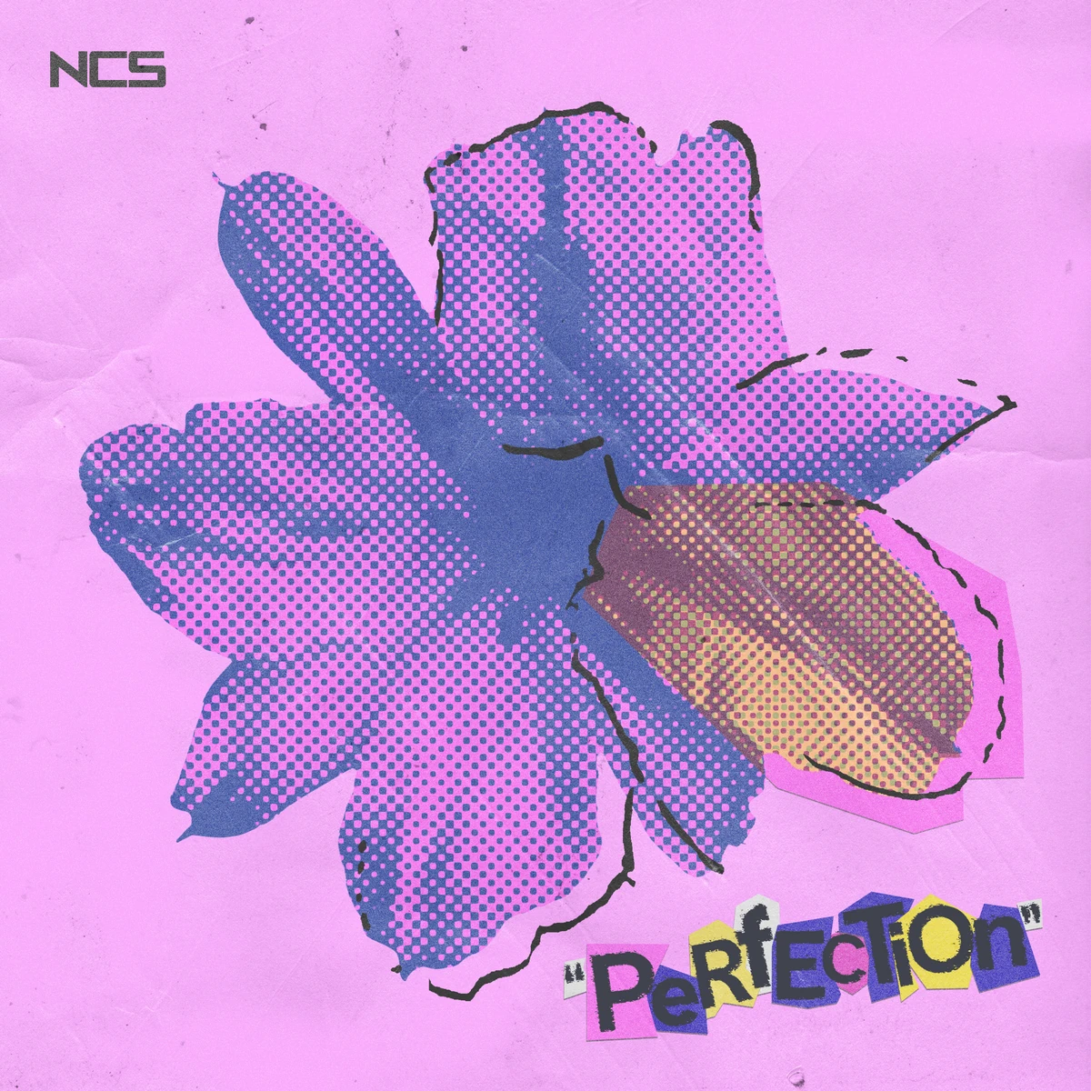 Perfection | NoCopyrightSounds Wiki | Fandom
