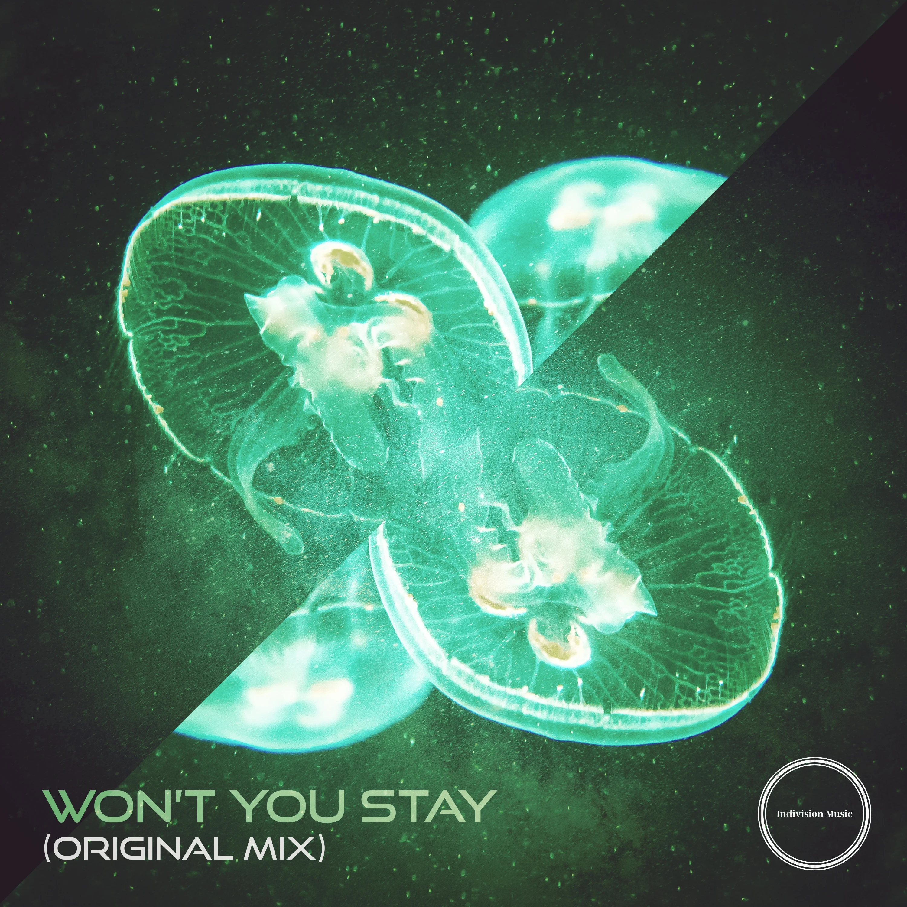 Won't You Stay | NoCopyrightSounds Wiki | Fandom