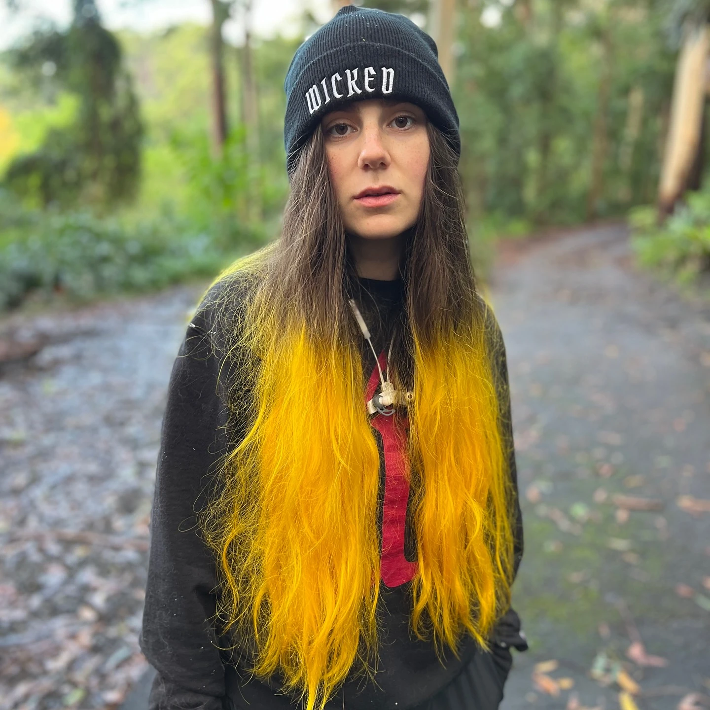 Discuss Everything About NoCopyrightSounds Wiki | Fandom