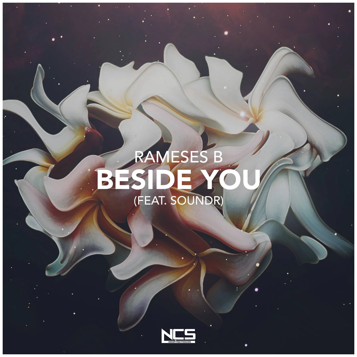 Beside You | NoCopyrightSounds Wiki | Fandom