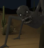 Nocturnals Wiki | Fandom