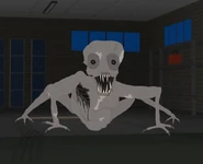 Nocturnals Wiki | Fandom