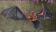 Bat | Nodiatis Wiki | Fandom