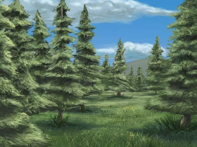 Spruce Woods | Nodiatis Wiki | Fandom