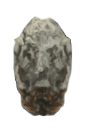 Geode Kite Shield | Nodiatis Wiki | Fandom