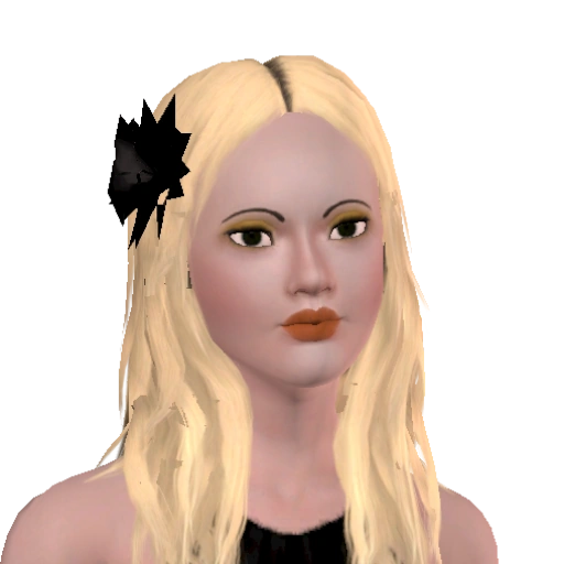 Wheel Decide Sims v2 | NoelSimsSandbox Wiki | Fandom