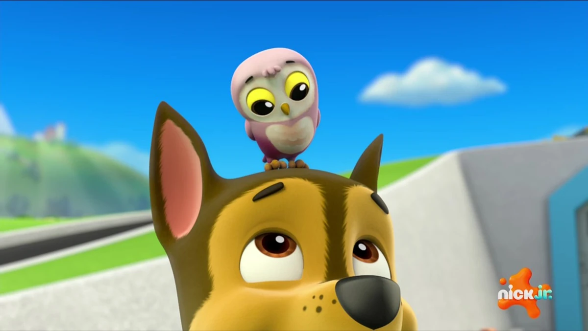 January 18, 2025 | Nickstory Jr. Wiki | Fandom