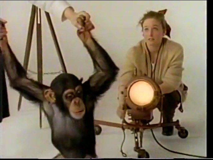 May 21, 2003 | Nickstory Jr. Wiki | Fandom