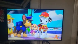 March 9, 2024 | Nickstory Jr. Wiki | Fandom