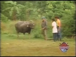 September 22, 2000 | Nickstory Jr. Wiki | Fandom