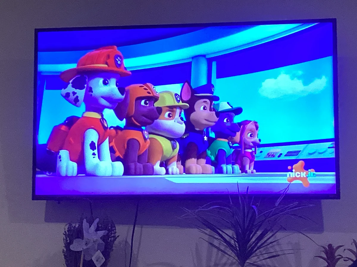 February 3, 2024 | Nickstory Jr. Wiki | Fandom