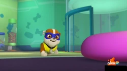 March 24, 2025 | Nickstory Jr. Wiki | Fandom