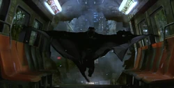 Batman | Dark Knight Wiki | Fandom