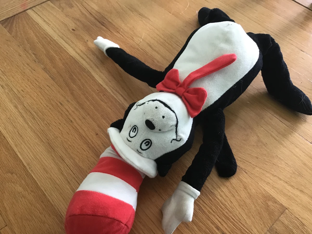 Cat in the hat | Nolan world Wiki | Fandom