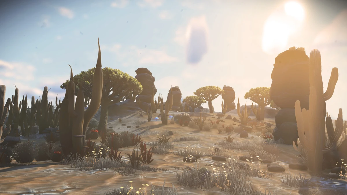 Biome | Wiki No Man's Sky | Fandom