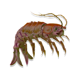 Colossal Shrimp - No Man's Sky Wiki