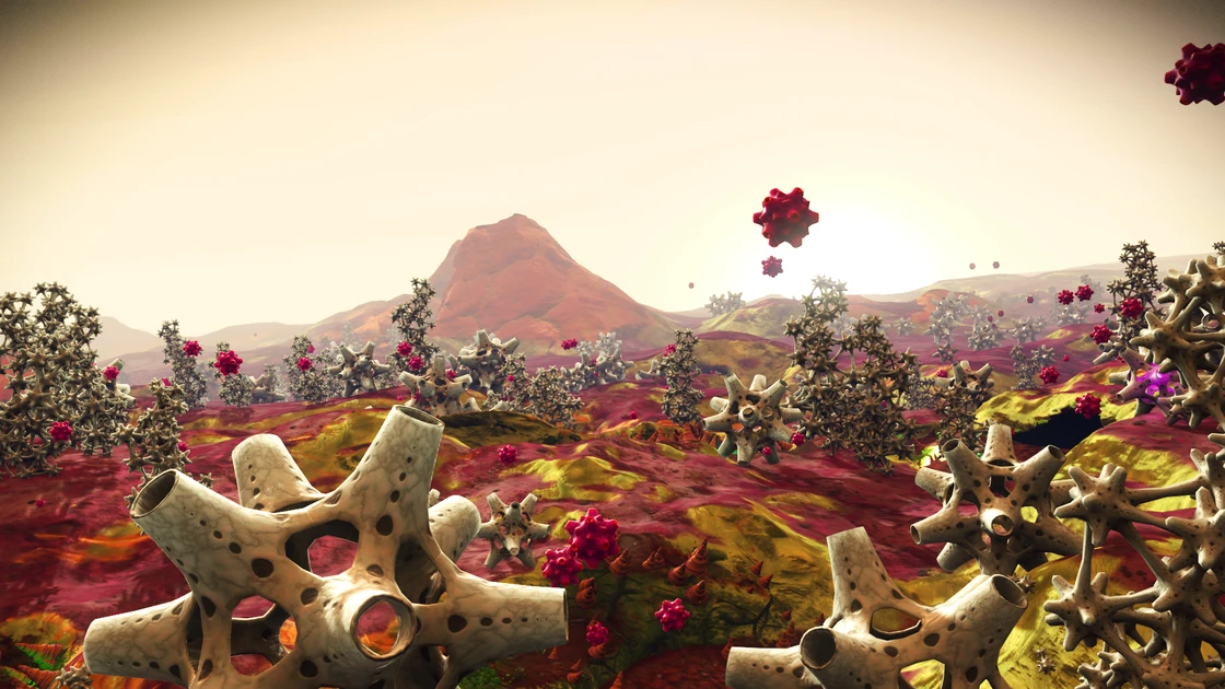 Onomi - No Man's Sky Wiki