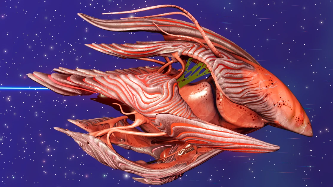 Telny XN5 - No Man's Sky Wiki