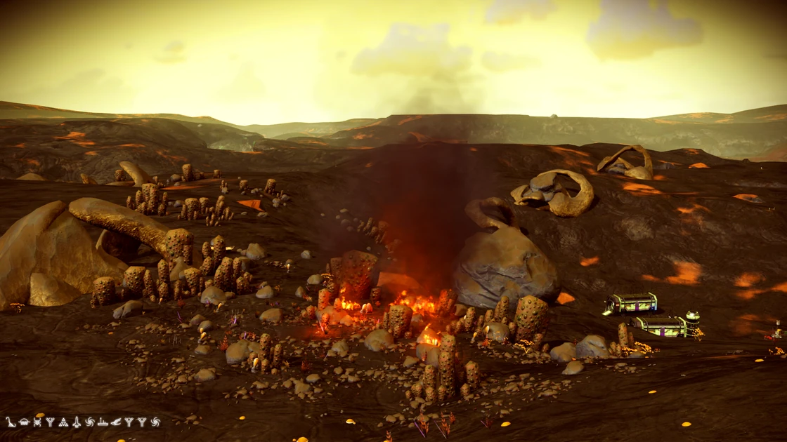 Tarong - No Man's Sky Wiki