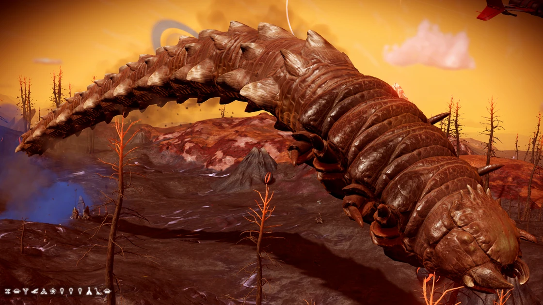 Immortal Worm Cikfield XII - No Man's Sky Wiki
