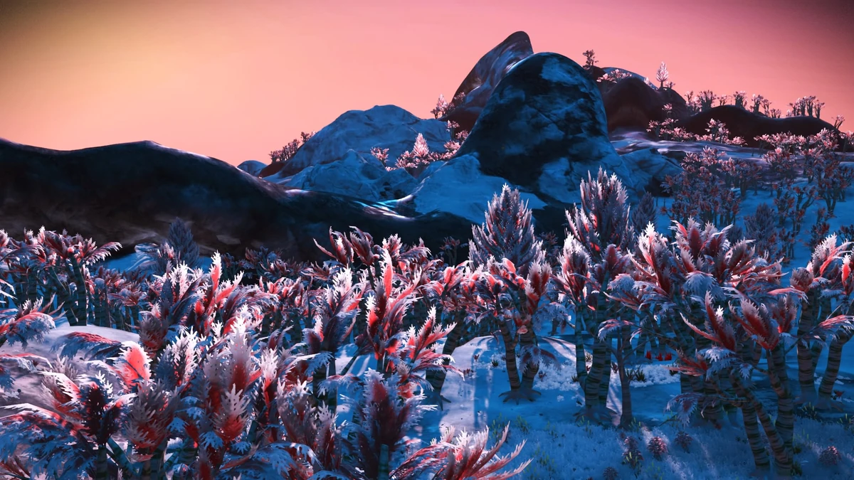 Abdizur - No Man's Sky Wiki