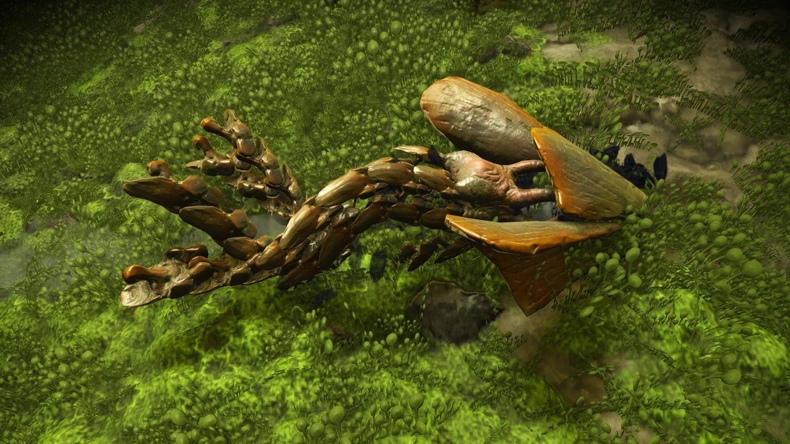 Genus Catalog - Anastomus-Mantis - No Man's Sky Wiki