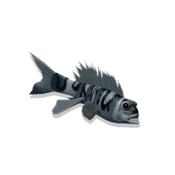 Whispering Bonefish - No Man's Sky Wiki