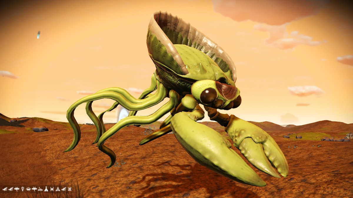 Category:Kiddley Major - No Man's Sky Wiki