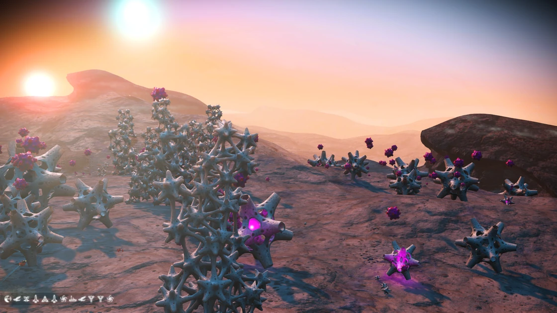 Rebiti - No Man's Sky Wiki