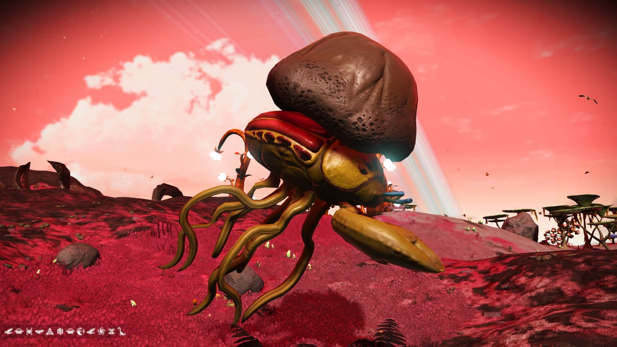 Category:Big Toe Land - No Man's Sky Wiki