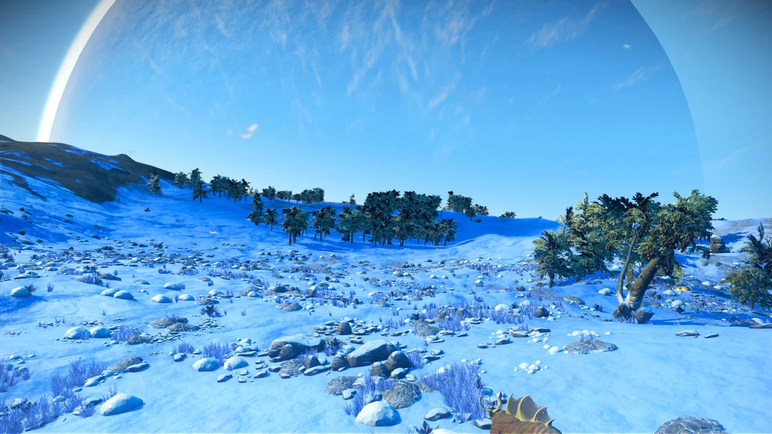 Icy Tiger Shark's Tundra - No Man's Sky Wiki