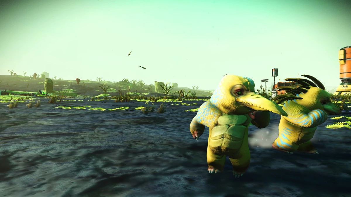 Nibus 8E - No Man's Sky Wiki