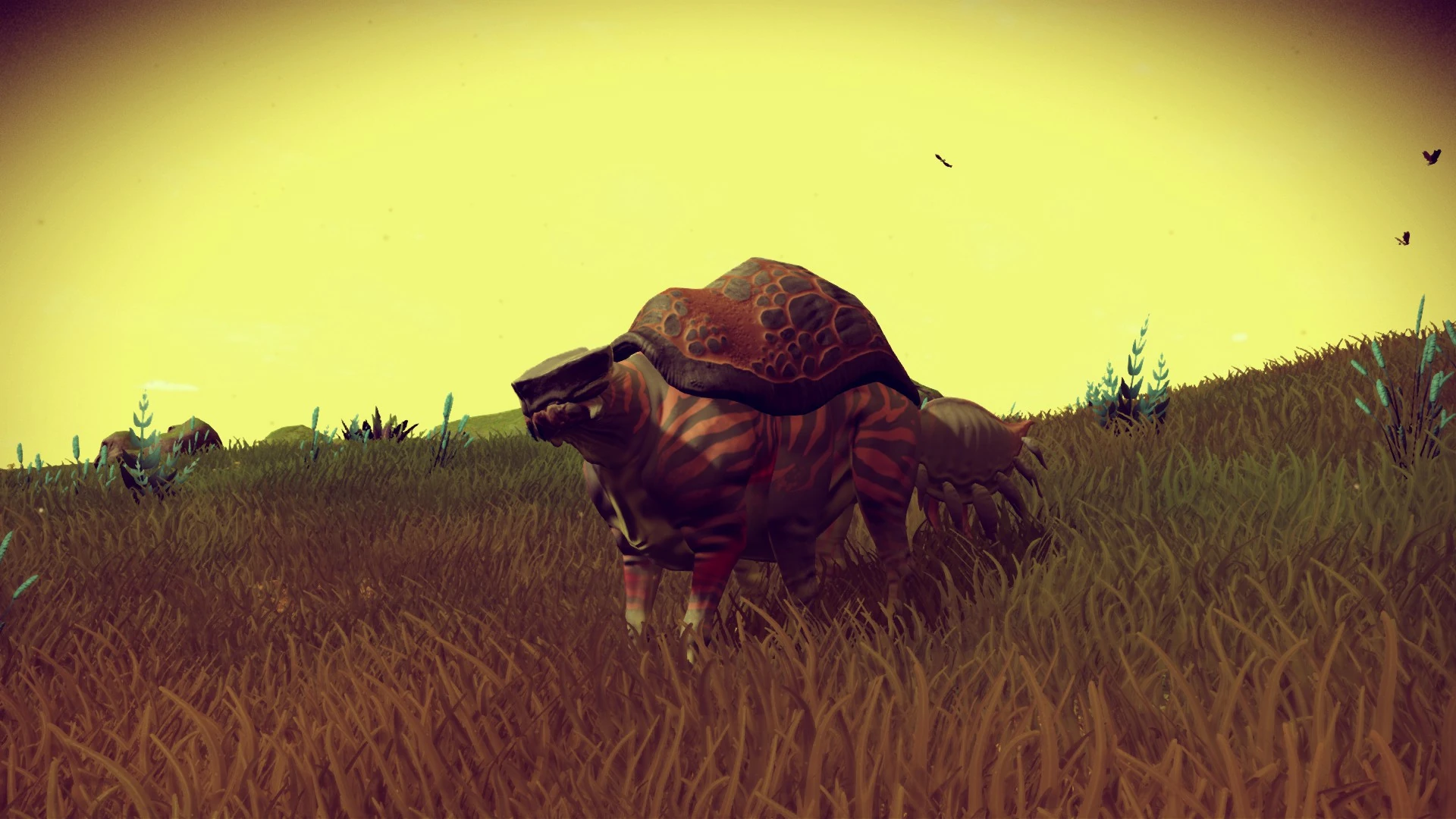 Category:Eye Of the Korvax Legion - Creatures - No Man's Sky Wiki