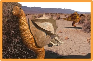 Desert Hopper | Non-alien Creatures Wiki | Fandom