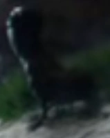 Mooncalf | Non-alien Creatures Wiki | Fandom