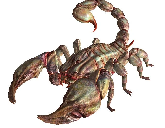 Radscorpion | Non-alien Creatures Wiki | Fandom