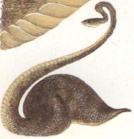 Fatsnake | Non-alien Creatures Wiki | Fandom
