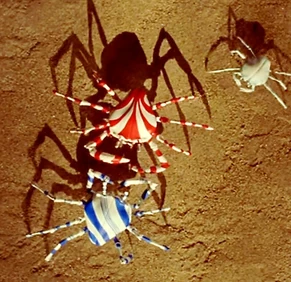 Sugar Crab | Non-alien Creatures Wiki | Fandom