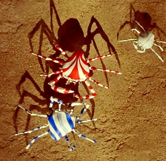 Sugar Crab | Non-alien Creatures Wiki | Fandom