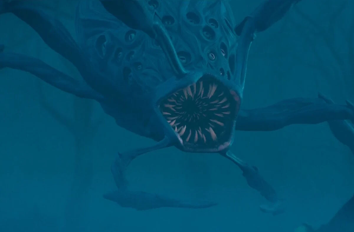 Orb Spider | Non-alien Creatures Wiki | Fandom