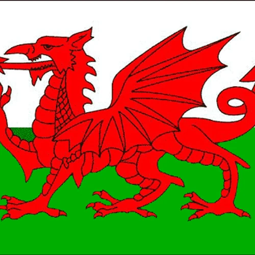 Welsh Dragon History
