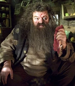 Rubeus Hagrid | Non-alien Creatures Wiki | Fandom