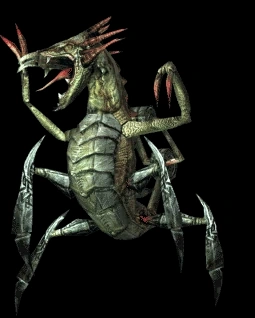 Species Gallery (F) | Non-alien Creatures Wiki | Fandom