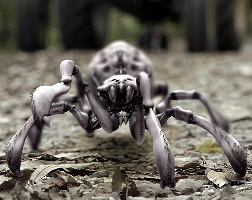 Arachnoquake Spider | Non-alien Creatures Wiki | Fandom