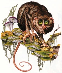 Zoog | Non-alien Creatures Wiki | Fandom